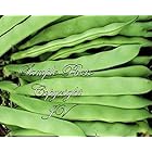 Amazon.com : Supermarconi, Romano Pole Beans, Italian Heirloom : Patio ...