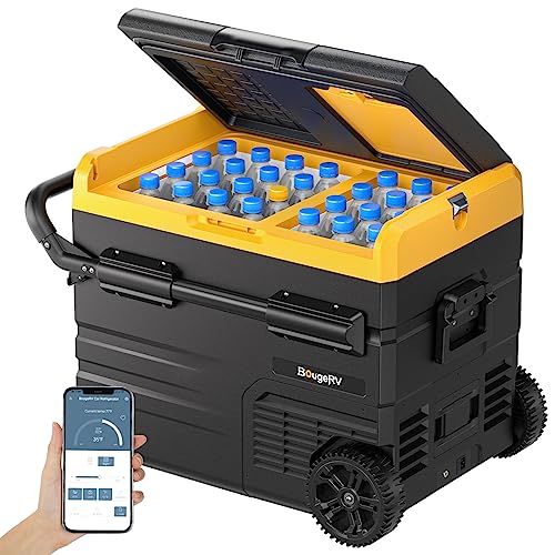 Best 12 Volt Refrigerator Freezer For Camping & Travel 2025