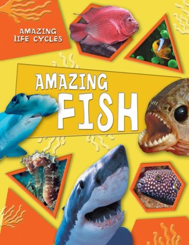 Amazing Fish (Amazing Life Cycles): Head, Honor: 9780836888959: Amazon ...
