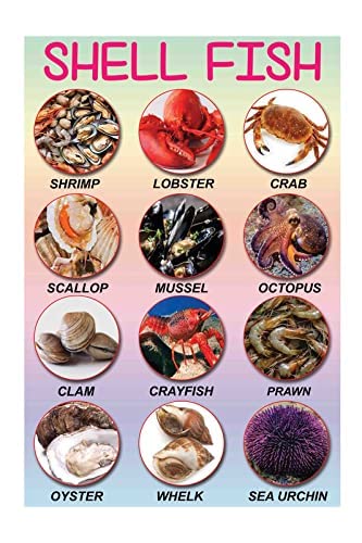 Educational Poster For Wall Shell Fishes Poster Poster For Play ...