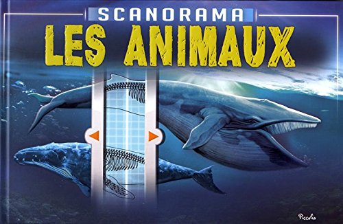 Amazon.com: Les animaux: 9782753041202: Anna Claybourne: Books