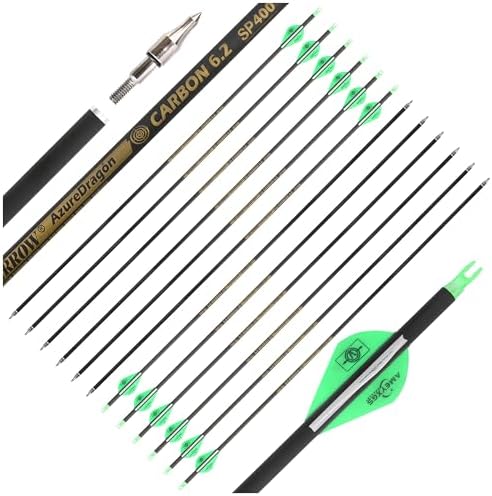 FQH 12 Stück Bogenschießen Pure Carbon Pfeile 32 Zoll Spine 500 ...