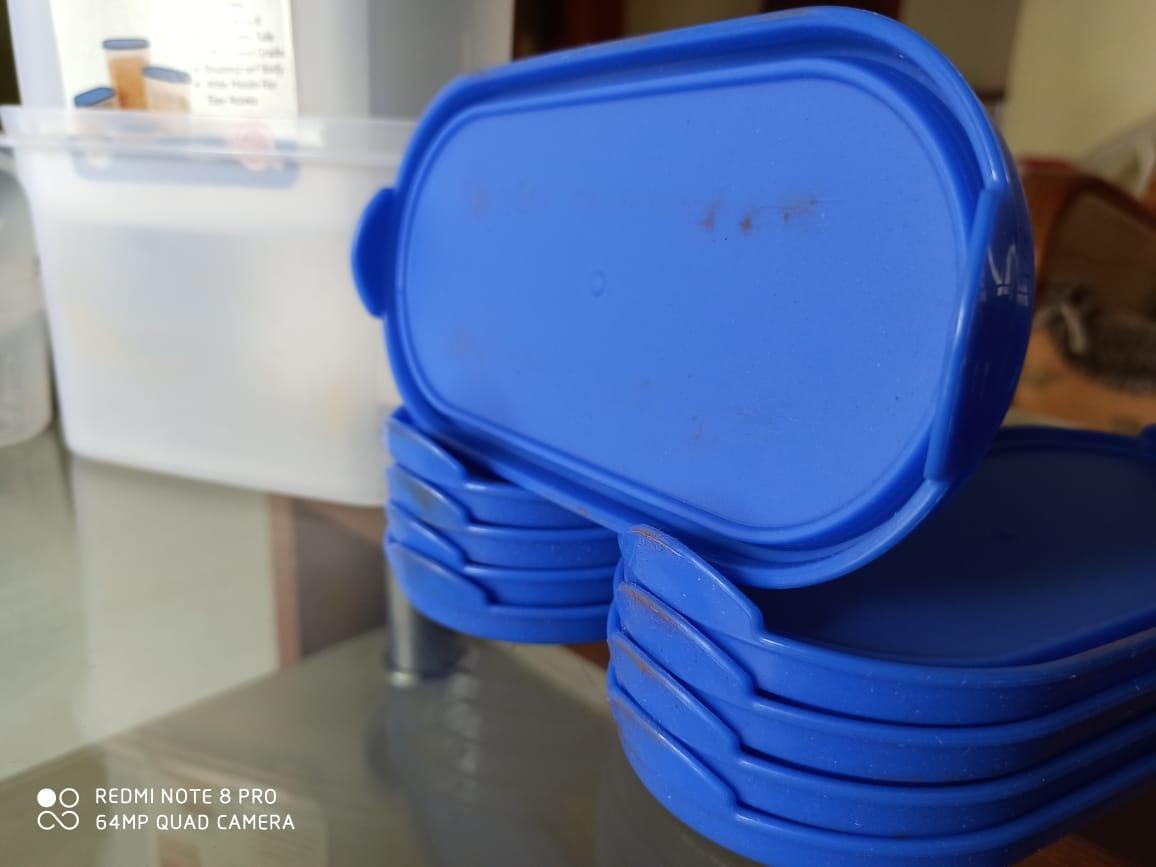 Buy CELLO MF BPA Free Modustore Plastic Container Set, 10-Pieces, Blue ...