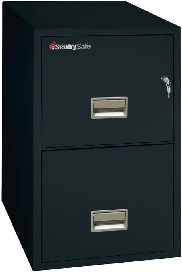 Amazon.com: Sentry Safe 2-Drawer Vertical Legal Security Filing Cabinet ...