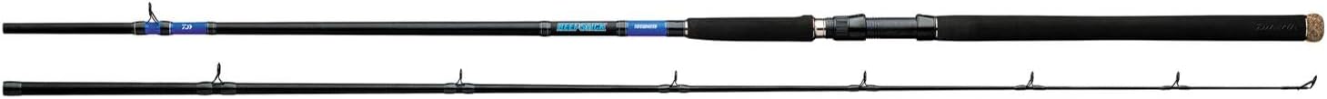 11 Best Surf Fishing Rods For 2025 | A Fellow Fisherman