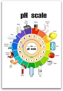 Amazon.com: pH Scale Poster - PH Scale Science Poster For Highschool ...