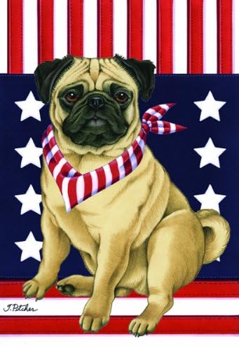 Amazon.com : Best of Breed Pug Fawn - Tomoyo Pitcher Patriotic Garden ...
