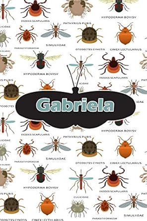 Gabriela: Bug Insect Isometric Dot Pape Book Notebook Journal Book 120 ...