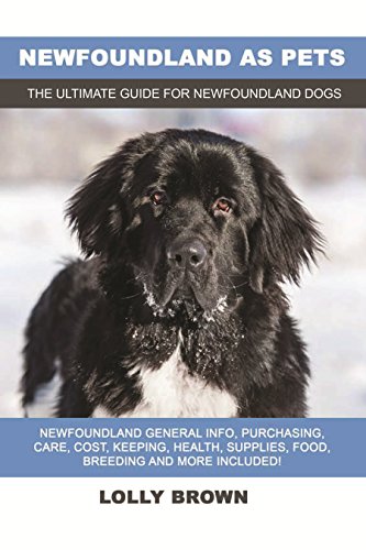 Amazon.com: Newfoundland as Pets: Newfoundland General Info, Purchasing ...