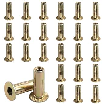 AOKLIT 25 Pack Multi Grip Rivet Nut Kit, 1/4-20 Rivet Nuts Carbon Steel ...