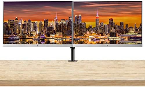 Amazon.com: HP EliteDisplay E243i 24 Inch Screen LED Backlit 2-Pack ...