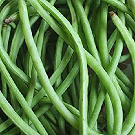 Hybrid Bean Lobia Seed 10 SEED : Amazon.in: Garden & Outdoors
