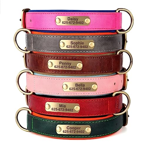 Leather Dog Collar with Name Plate – The 15 best products compared ...