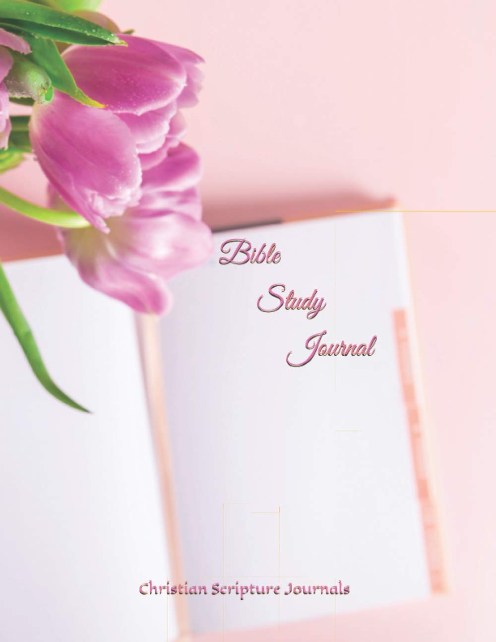BIBILE STUDY JOURNAL: *Daily Devotional Prayer Journal for Women* Bible ...