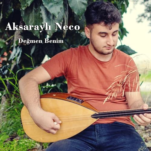 Écouter Değmen Benim de Aksaraylı Neco sur Amazon Music