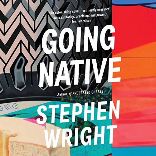 Amazon.com: Going Native (Audible Audio Edition): Stephen Wright, Will ...