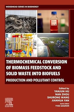 Thermochemical Conversion of Biomass Feedstock and Solid Waste into ...