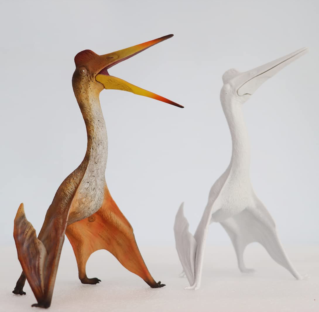 Quetzalcoatlus Scale Pterosaurs Were Adapted To Broad Range Of