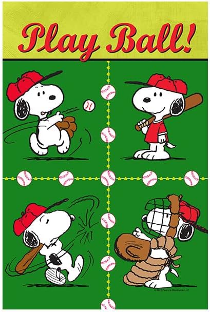 Amazon.com : Flagology.com, PEANUTS®, PEANUTS® Baseball Snoopy – Garden ...