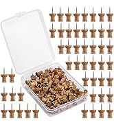 Amazon.com: 114 Pcs Wood Push Pins, 2 Colors and 7 Types Decorative ...
