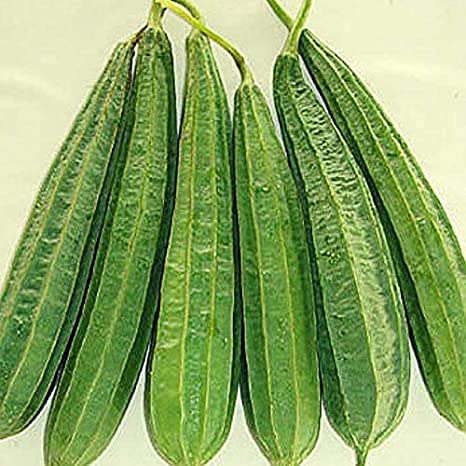 indian farm and more products ridge guard (torai) hybrid vegetavle 420 ...