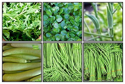 Buy Creative Farmer Seed Combo & Vegetable : Bhindi (Arka Anamika ...