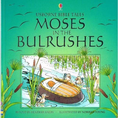 Moses in the Bulrushes (Usborne Bible Tales): Heather Amery, Norman ...