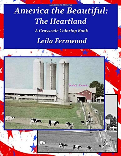 Amazon.com: America the Beautiful: The Heartland: A Grayscale Coloring ...