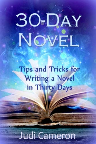 30-Day Novel: Tips and Tricks for Writing a Novel in Thirty Days ...