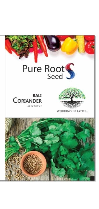 Pure Root Seed Bali Coriander (F-1 HYB) Organic Coriander Seeds ...