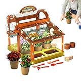 ・ブランド:ノーブランド品・製造元:ノーブランド品・製造元/メーカー部品番号:TQ858JPH7AB8RP61DCI・Science Discovery Companion: With the Kids Greenhouse Kit, ch...