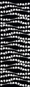 Amazon.com: 染の安坊 Anbo Tenugui Hand Towel, Skull Swaying(meny), 100% ...