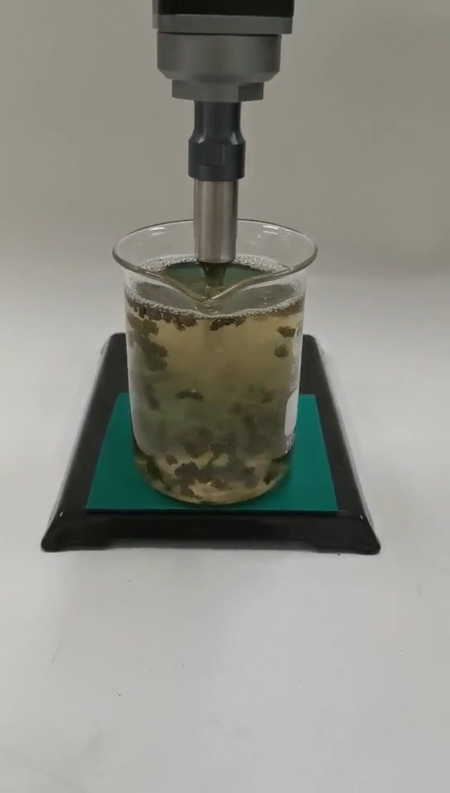 Watch Tea Extraction with CGOLDENWALL Ultrasonic Homogenizer on Amazon Live