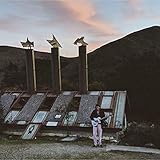 Why Is My Smoothie Chunky? Troubleshooting Tips & Tricks