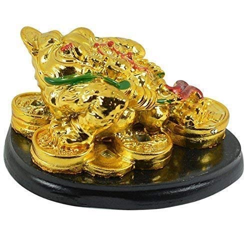 GJ Beautiful Feng Shui Frog Showpiece Golden Color : Amazon.in: Home ...