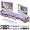 Amazon.com: gianotter Dual Monitor Stand Riser, Desk Organizer With ...