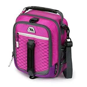 Buy Arctic Zone Lunch Bag Pack Az Pro High Performance Dual Compartment ...