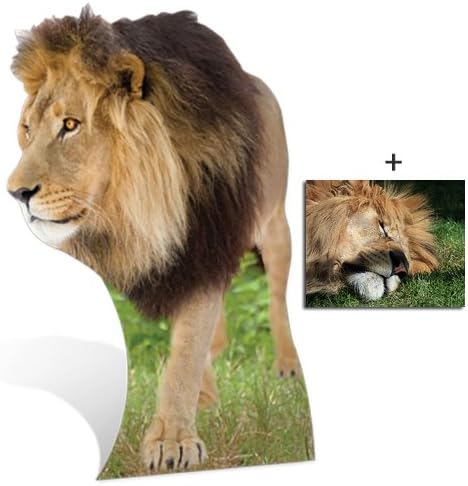 Lion - Wildlife/Animal Lifesize Cardboard Cutout / Standee / Standup ...