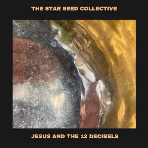 Écouter Jesus and The 12 Decibels par The Star Seed Collective feat ...