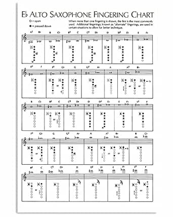 JIUFOTK Saxophone Knowledge Metal Signs Alto Saxophone Fingering Chart ...