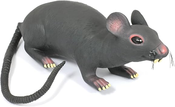 Talking Turtle Jumbo Rat Animal Figure - Realistic Toy for Toddlers ...