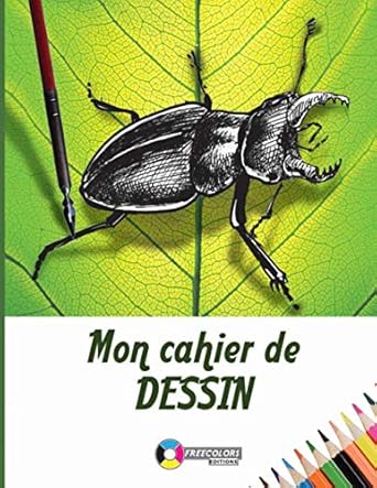 Amazon.com: Mon cahier de Dessin (French Edition): 9798580981642 ...