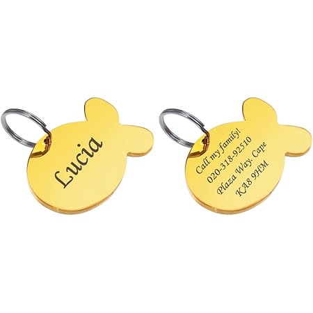 Amazon.com : Fish Stainless Steel Pet Id Tag - Custom Engraved : Pet ...