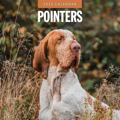 Amazon.com: Red Robin 2025 Pointers Monthly Wall Calendar | 12" x 24 ...