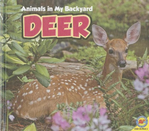 Amazon | Deer (Animals in My Backyard) | McGill, Jordan | Zoology