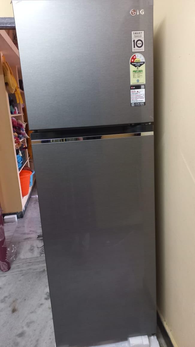 LG 272 L 2 Frost-Free Smart Inverter Compressor Double Door ...