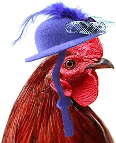 Amazon.com : CCINEE 6 Pcs Chicken Hats for Hens Tiny Pets Animals Funny ...