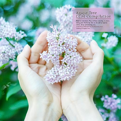 Amazon Music - VARIOUS ARTISTSのCCM Piano Collection For The Recovery ...