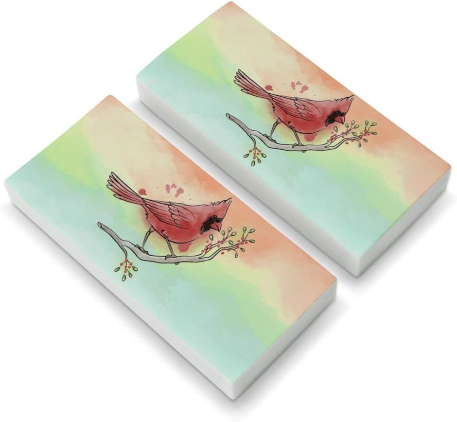 Amazon.com: Northern Cardinal Watercolor Northeastern Bird Eraser Set ...