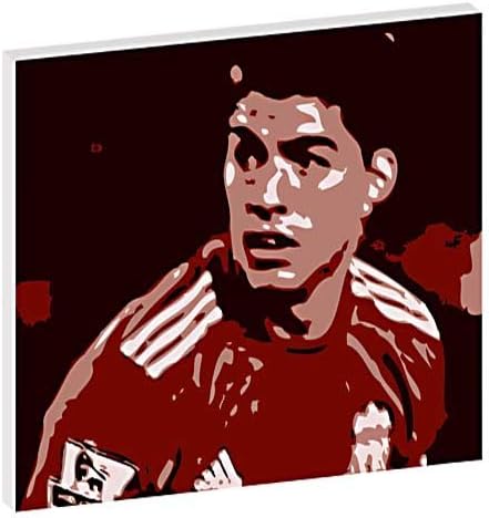 LUIS SUAREZ LIVERPOOL FC LARGE CANVAS ART PRINT 16X16 INCHES - framed ...